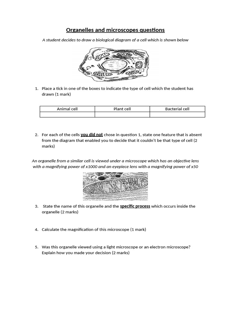 Organelles and Microscopes Questions | PDF