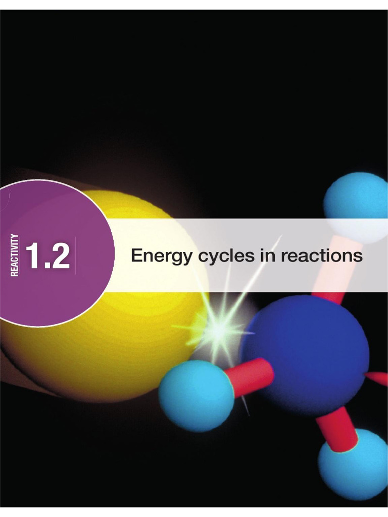 Ib DP Reactivity | PDF