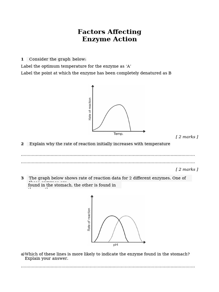 Factors-Affecting-Enzyme-Action - Worksheet | PDF