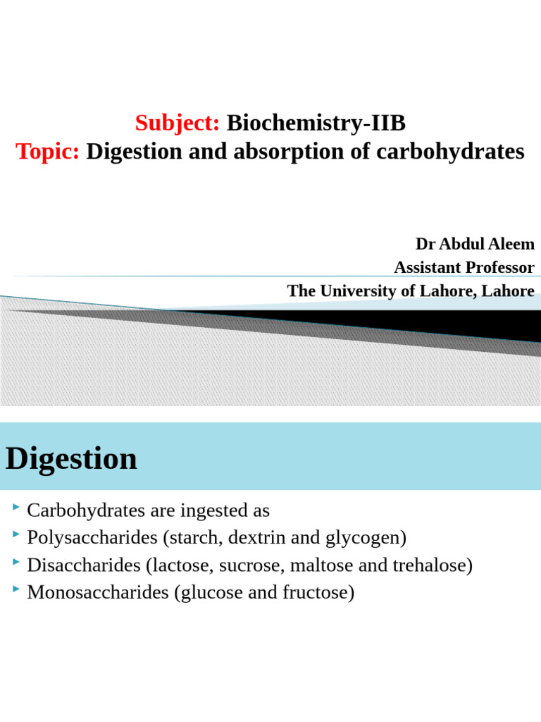 Absorption and Digestion of Carbohydrates | PDF | Digestion | Carbohydrates