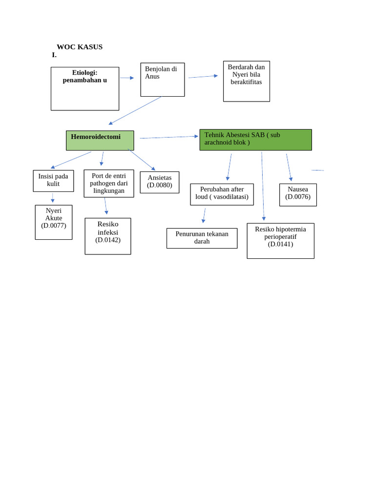 WOC KASUS HEMOROIDECTOMI | PDF