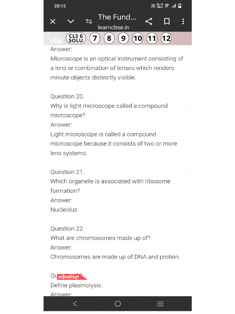 Prominent Questions | PDF