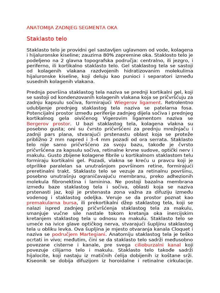 Anatomija Retine | PDF