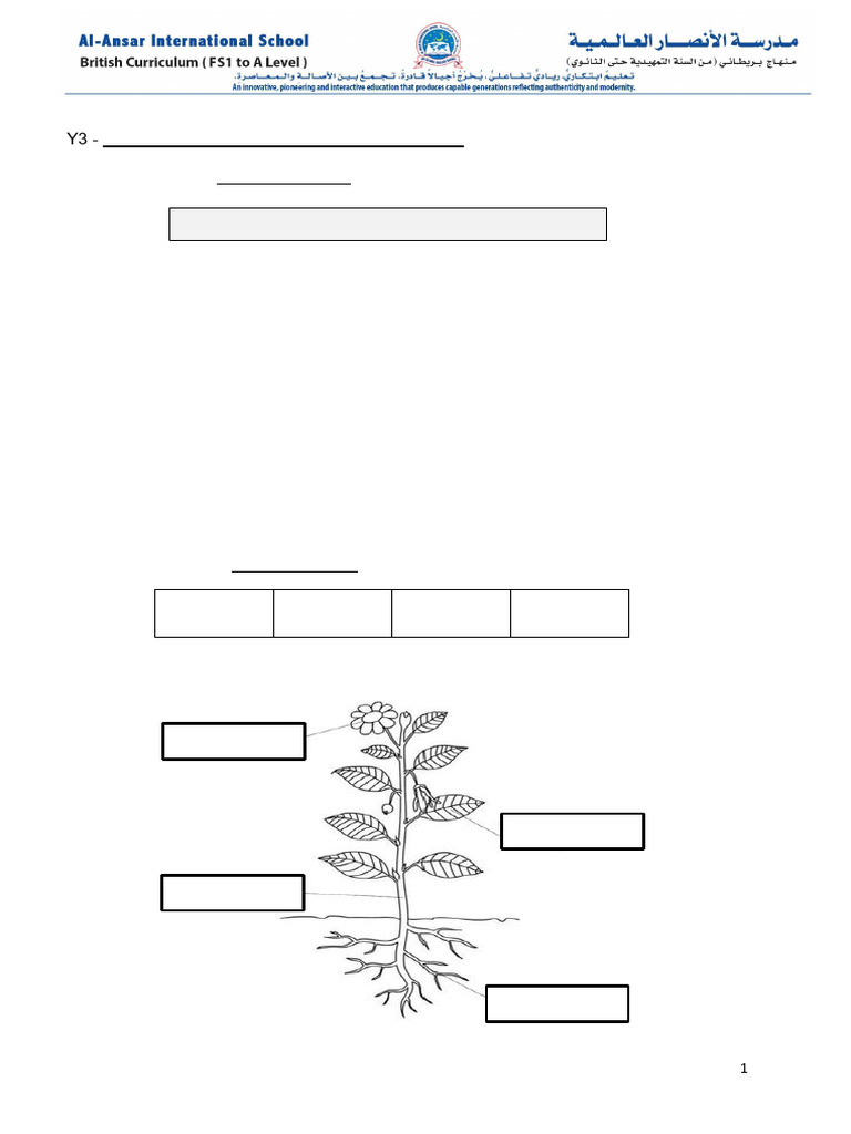 Y3-Sci-Practice Sheet-Uchk 2 (24-25) | PDF | Plants | Water