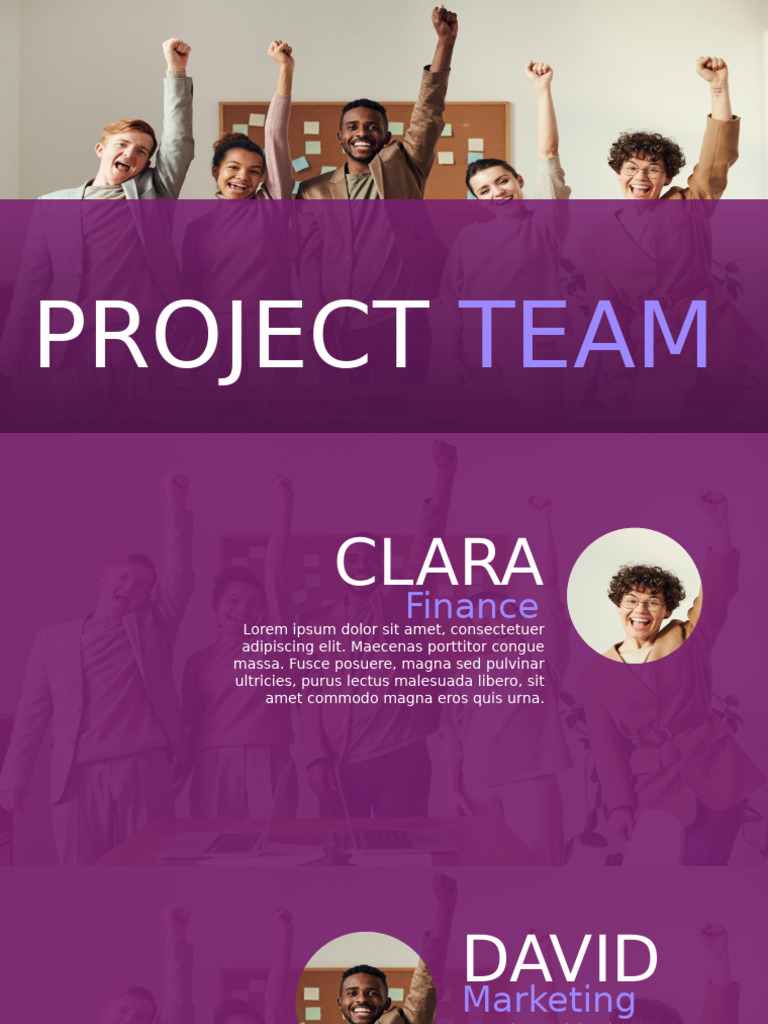 Project Team Overview and Roles | PDF
