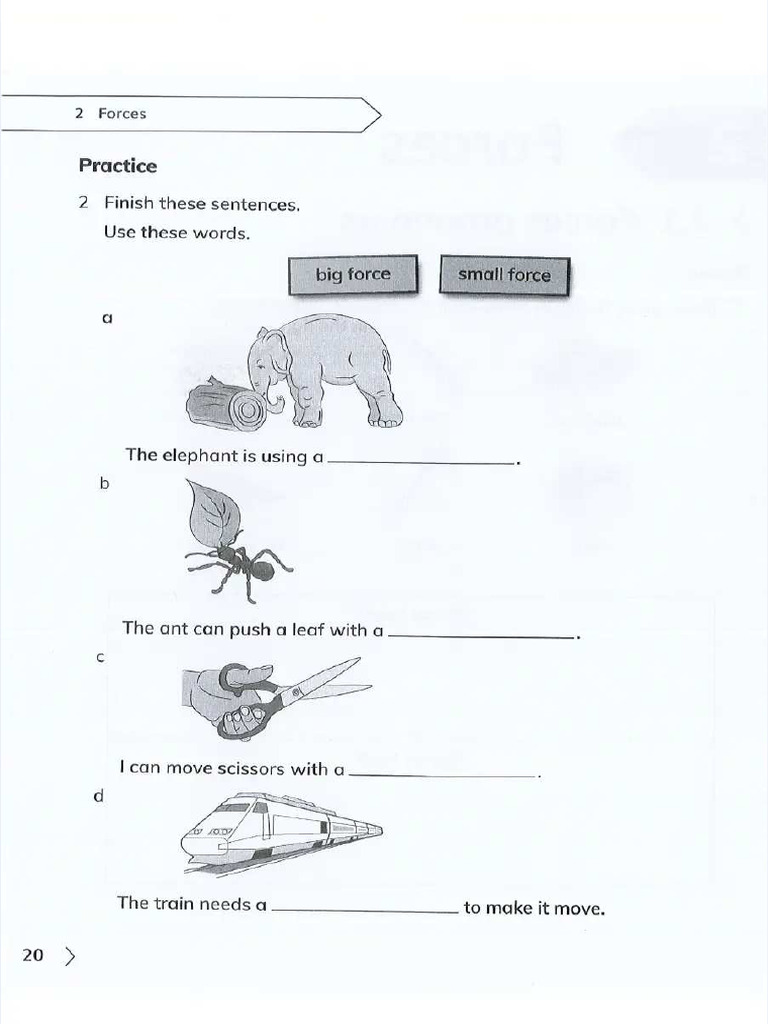 Grade 2 Worksheet Changing Shape | PDF