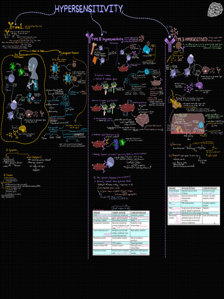 9 Hypersensitivity | PDF