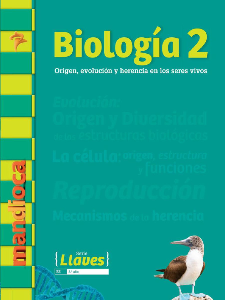 Ilide - Info Biologia 2 Mandioca Serie Llaves PR | PDF