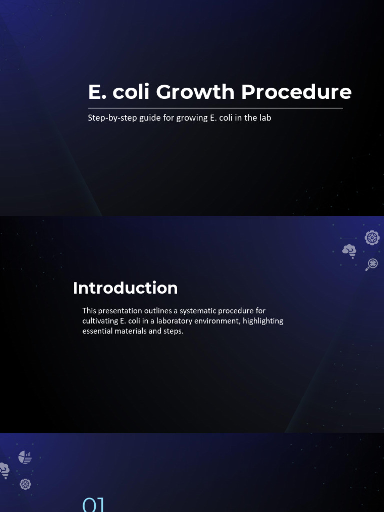 Experiment (E. coli Growth Procedure) | PDF