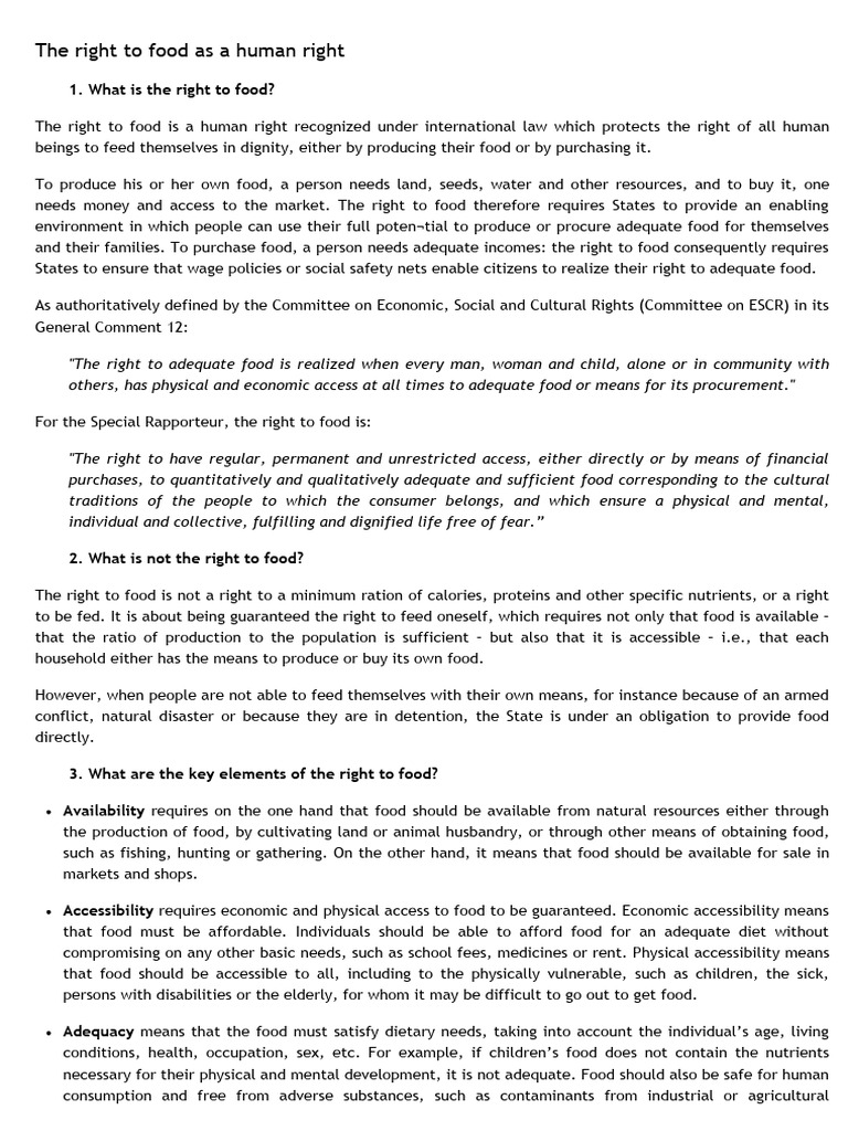 Understanding the Right to Food | PDF | Human Rights | Justice