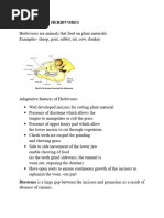 Buy Goods Till Number Template | PDF