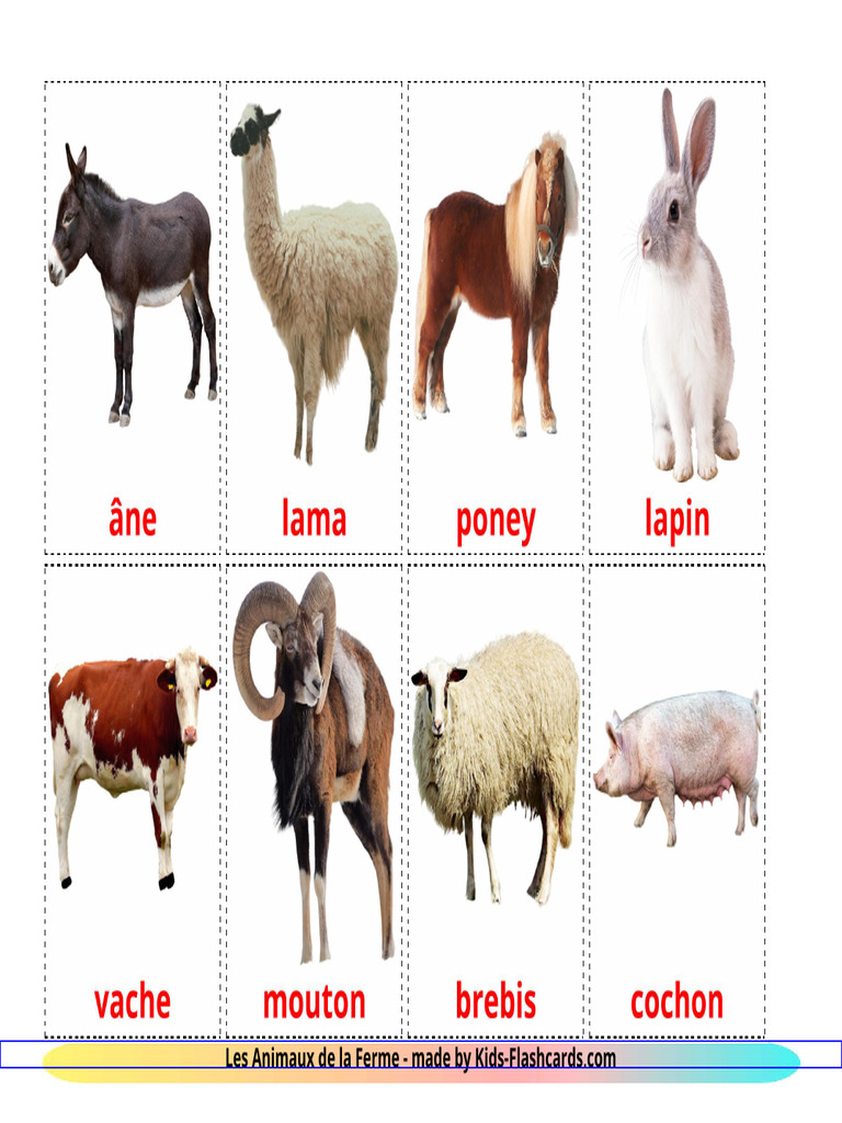 Flashcards des Animaux de la Ferme | PDF