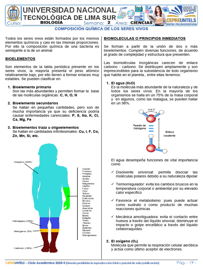 Bio Sem02 2025 II | PDF | Carbohidratos | Lípido