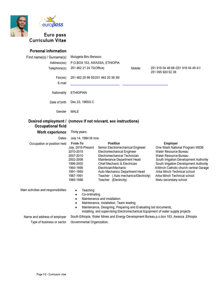 CVTemplate-Mulugeta 2022 | PDF | Specification (Technical Standard) | Pump
