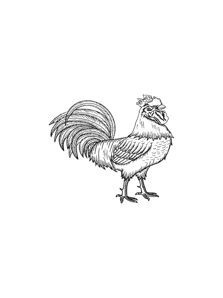 Menú de El Rey Gallo | PDF | Alimentos | Cocina mexicana