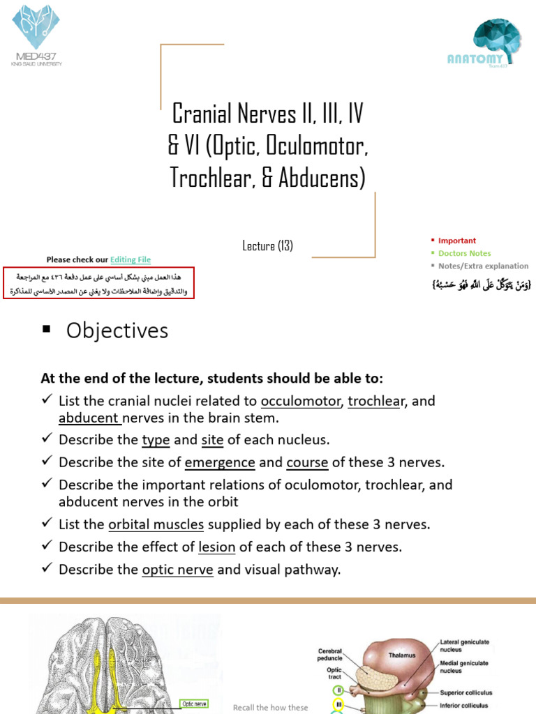 13- Cranial Nerves 2, 3, 4, & 6 (Edited) | PDF | Brainstem | Visual System