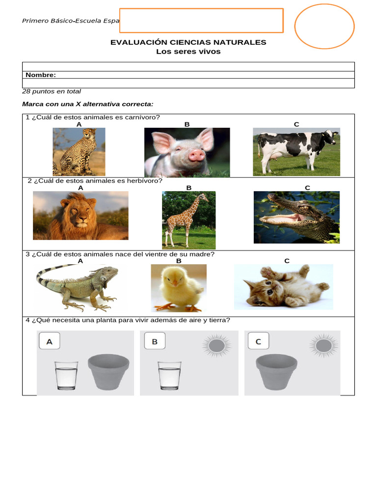 Evaluación Ciencias Los Seres Vivos | PDF | Zoología