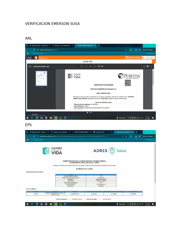 Verificacion HSEQ | PDF