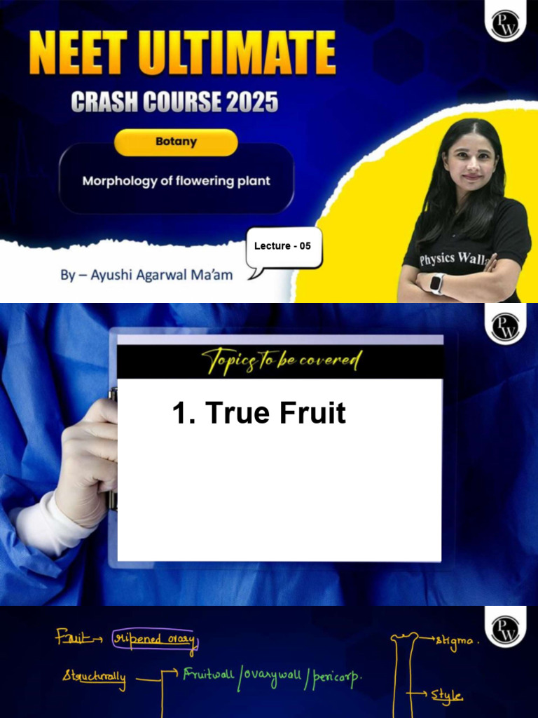 True Fruit Lecture Overview | PDF