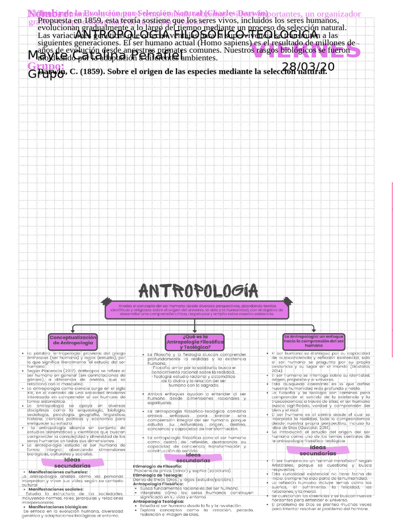 Deber (11 | PDF | Evolución | Humano