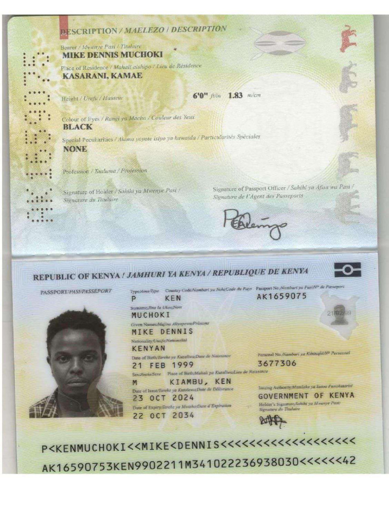 Mike Dennis Docs-1 | PDF