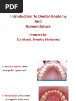 Festooning | PDF | Dentures | Dental Anatomy
