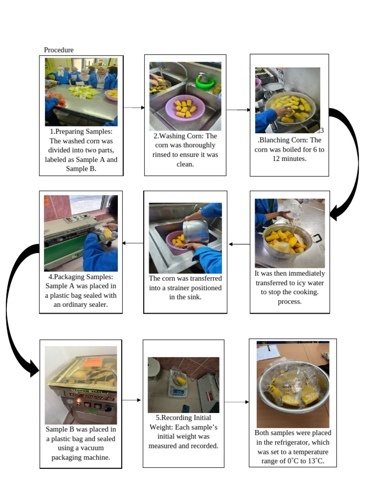 Vacuum vs. Ordinary Packaging for Corn | PDF | Food Preservation ...