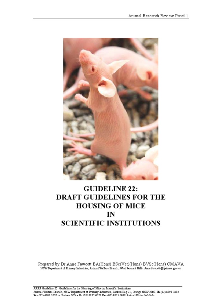 Draft Guidelines Housing Mice | PDF | Animal Welfare | Mouse