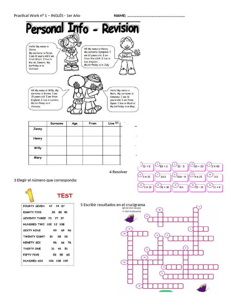 Practical Work | PDF