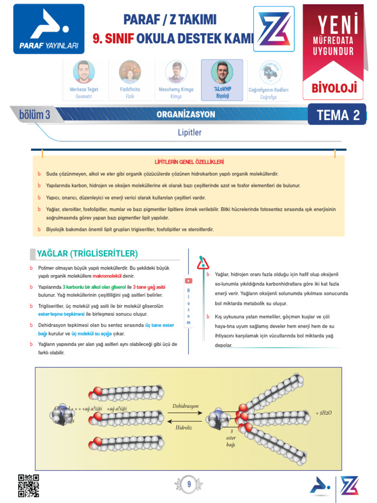 9.sinif Biyoloji Yeni Mufredat Lipitler Konu Anlatimi | PDF