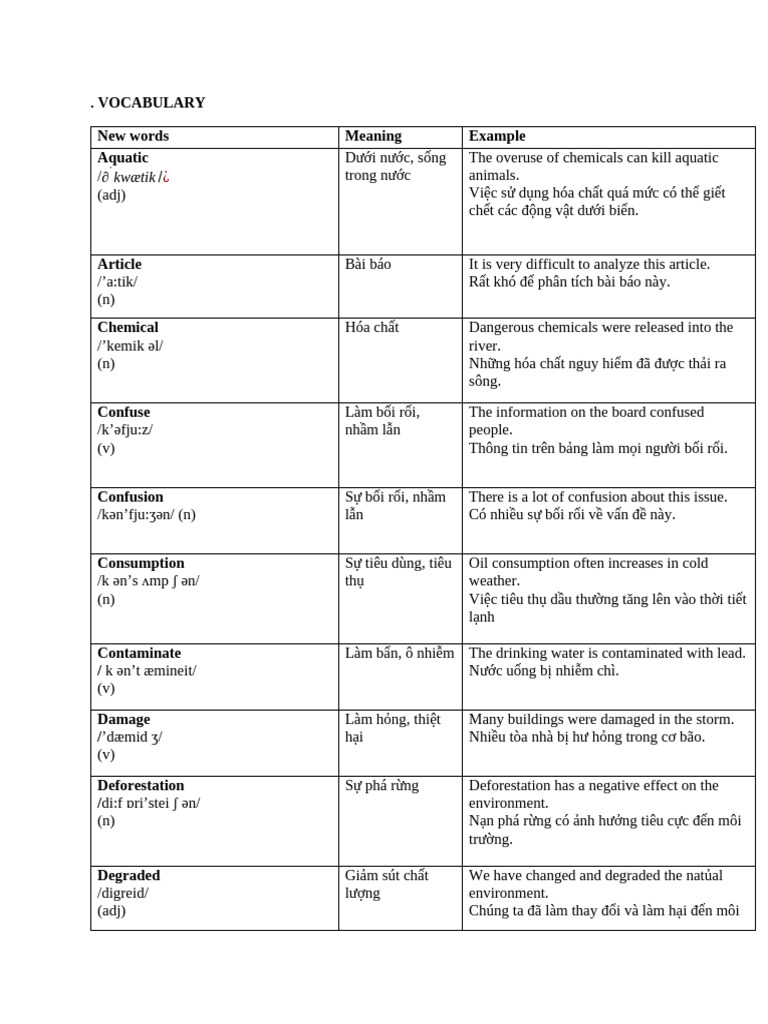 Unit 9 - Vocabulary | PDF