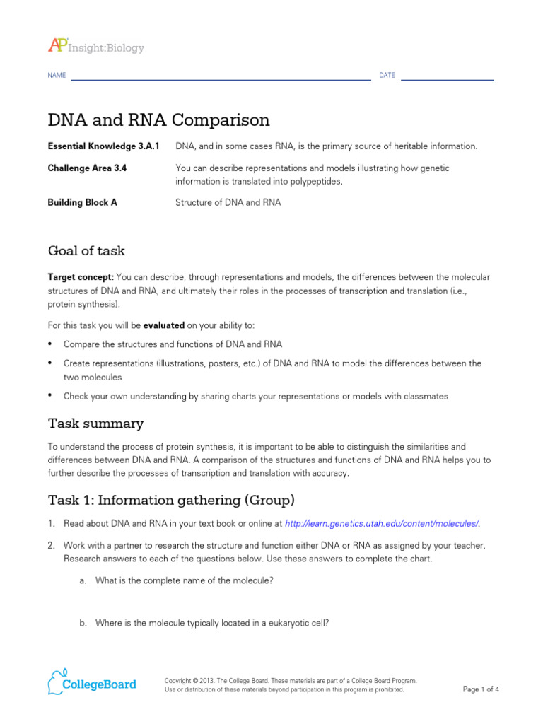 DNA and RNA Comparison | PDF | Nucleic Acids | Rna