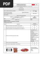 Urban Wak | PDF | Tejer | Ocio