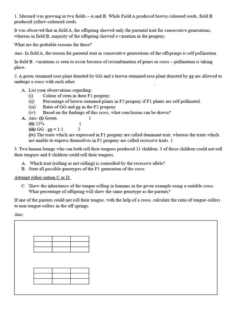 Heredity Question Class 10 | PDF | Dominance (Genetics) | Heredity