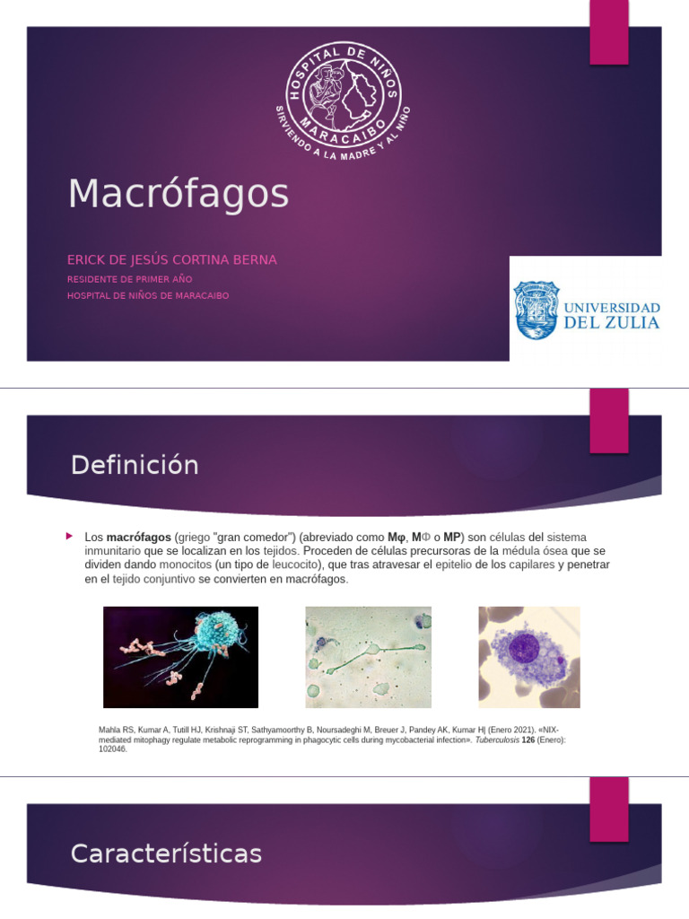 Macrófagos inmunologia | PDF | Macrófago | Leucocito