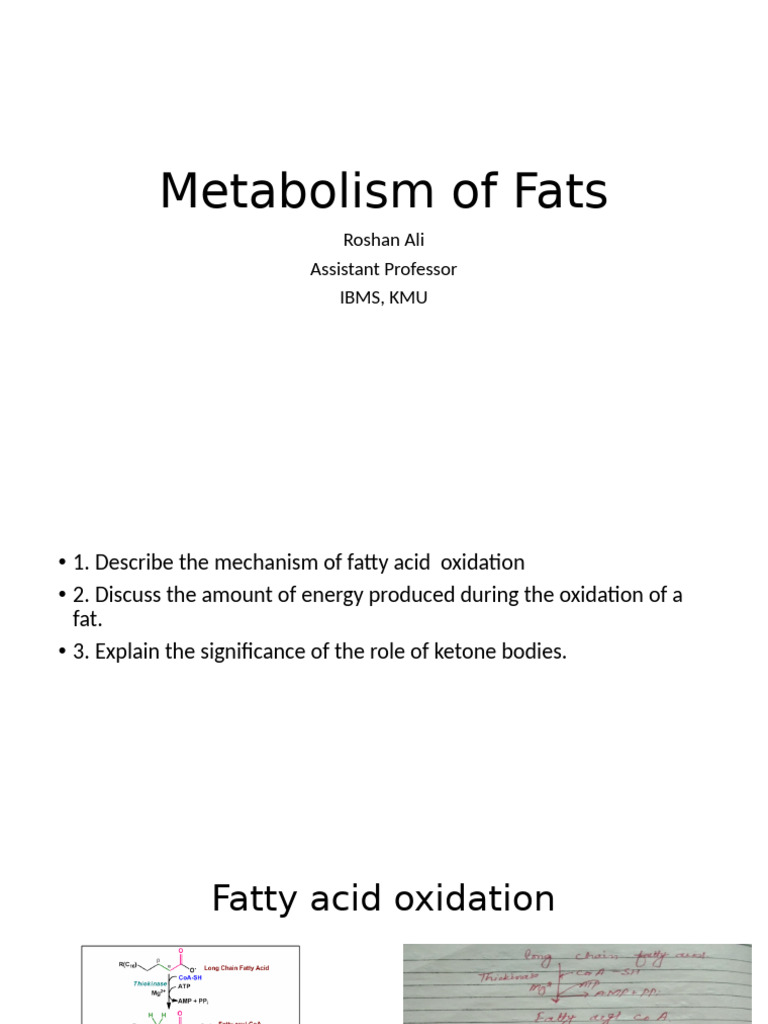 Unit # 05 (B) Metabolism of fats, Insta . husain.z.kmu | PDF