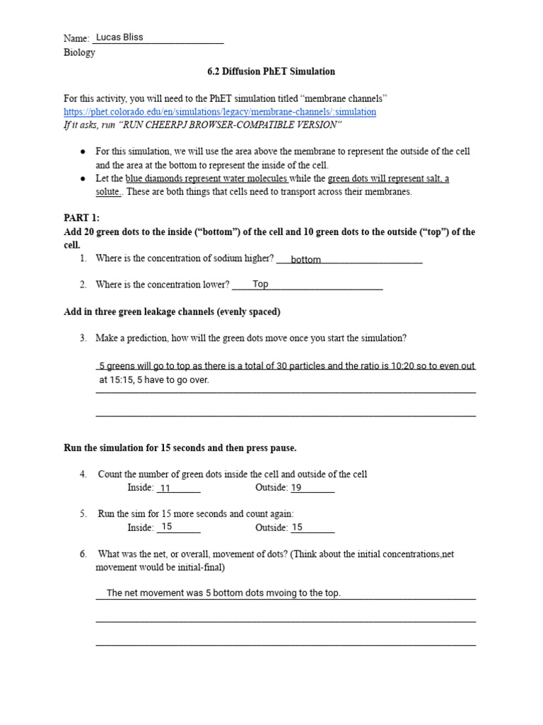Kami Export - 6.2 Diffusion PhET Simulation | PDF | Cell Membrane | Chemistry