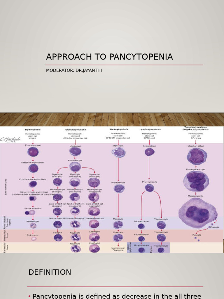 Approach To Pancytopenia | PDF | White Blood Cell | Leukemia
