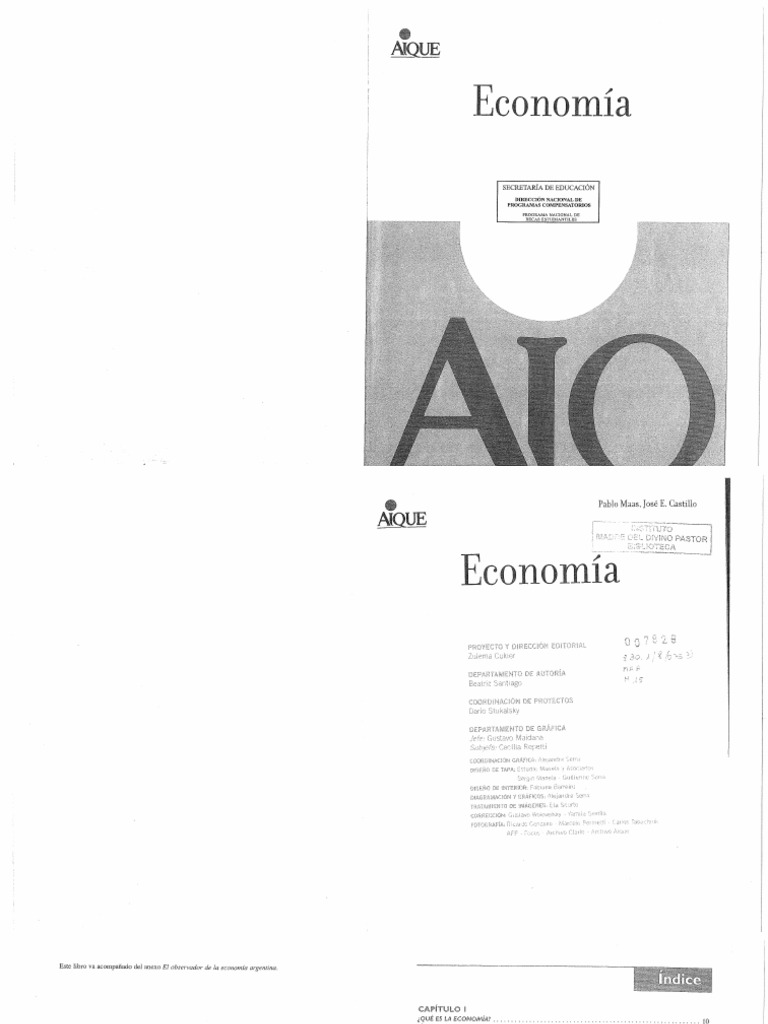 Economia AIQUE | PDF