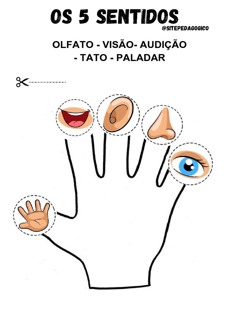 5 Sentidos | PDF
