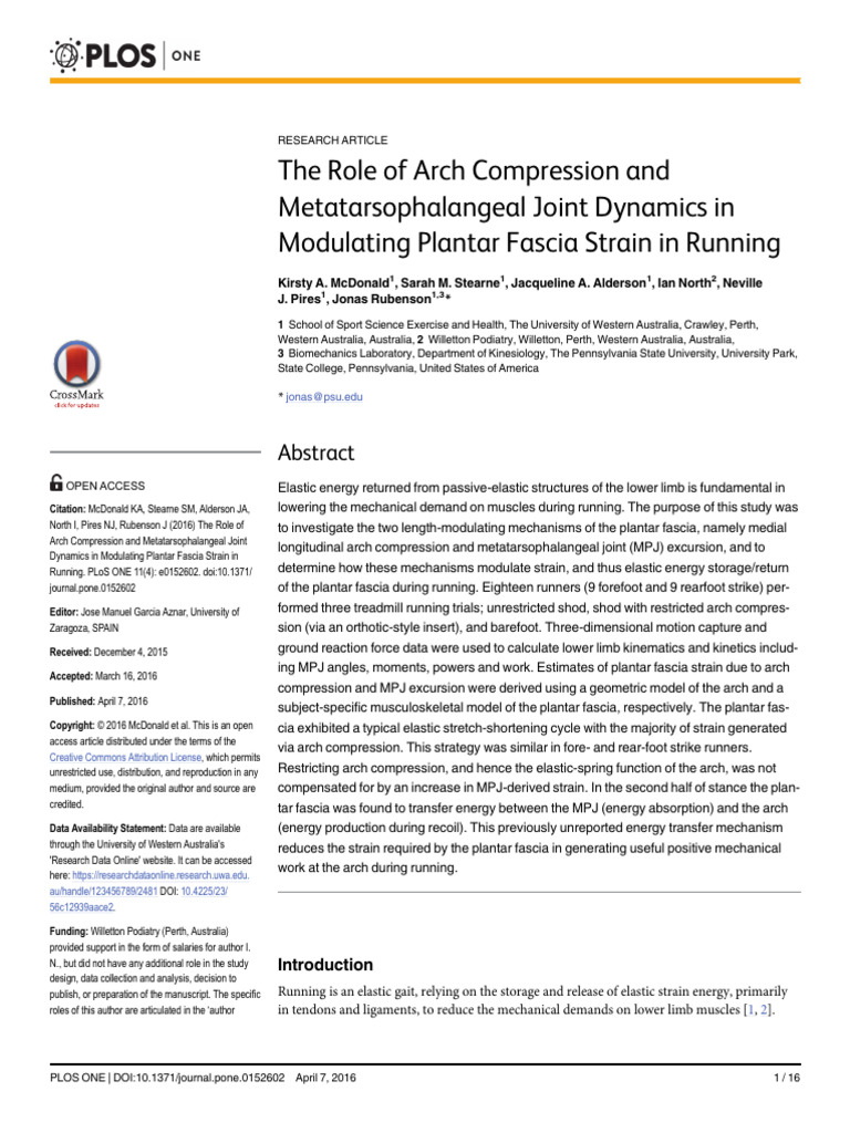 The Role of Arch Compression and Metatarsophalangeal Joint Dynamics in ...