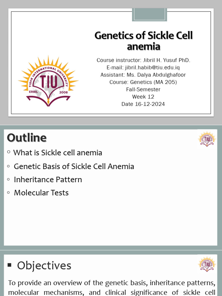Sickle Cell Anemia - 2025 2 | PDF | Biology | Genetics