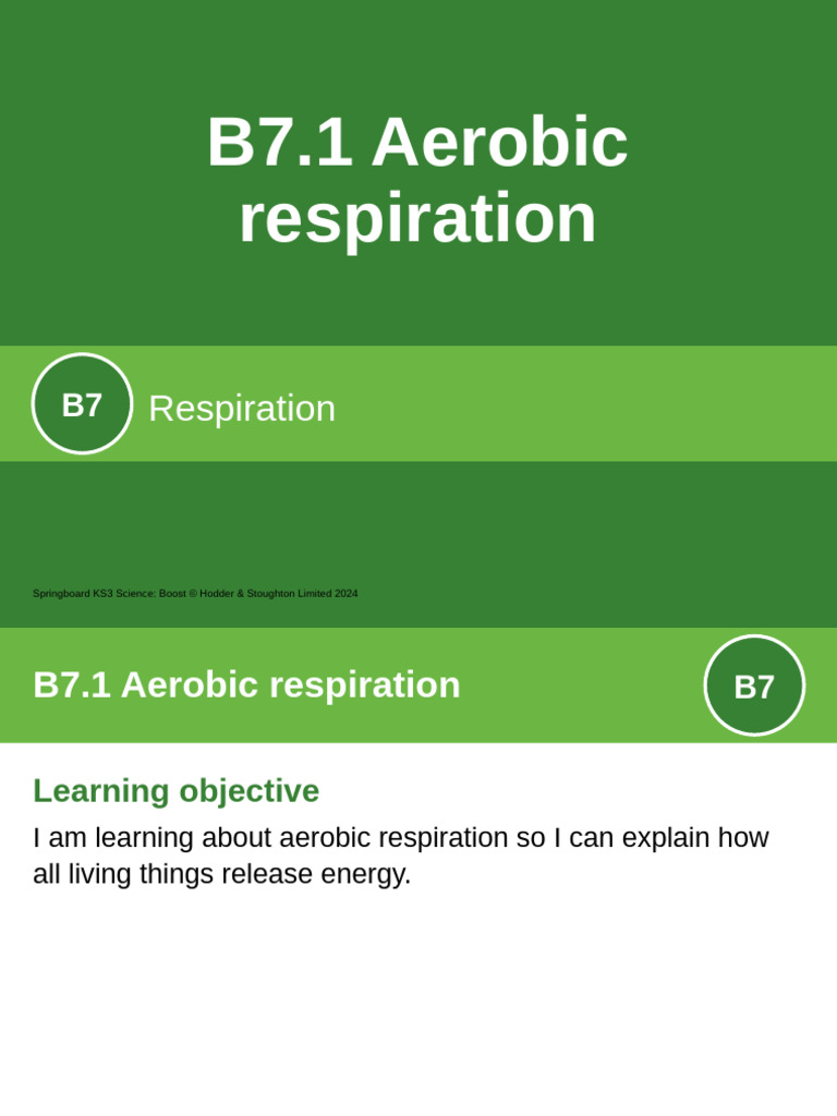 B7.1 Aerobic Respiration - PowerPoint | PDF | Cellular Respiration | Oxygen