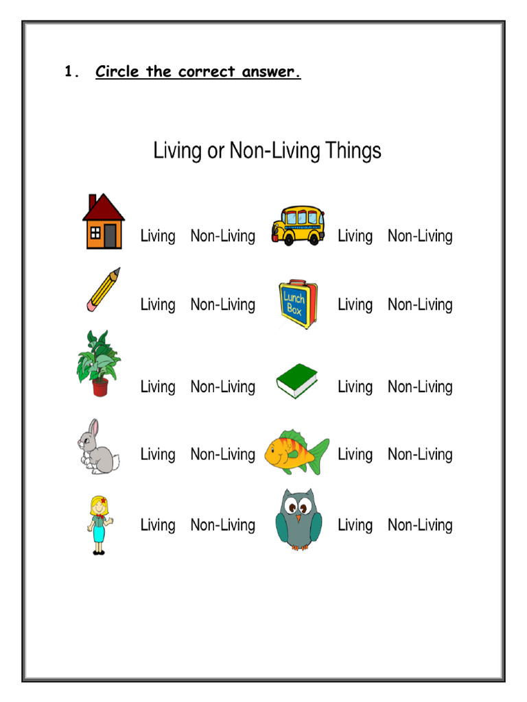 GRADE 1 NATURAL SCIENCE PREPARATION WORKSHEETS (1) | PDF