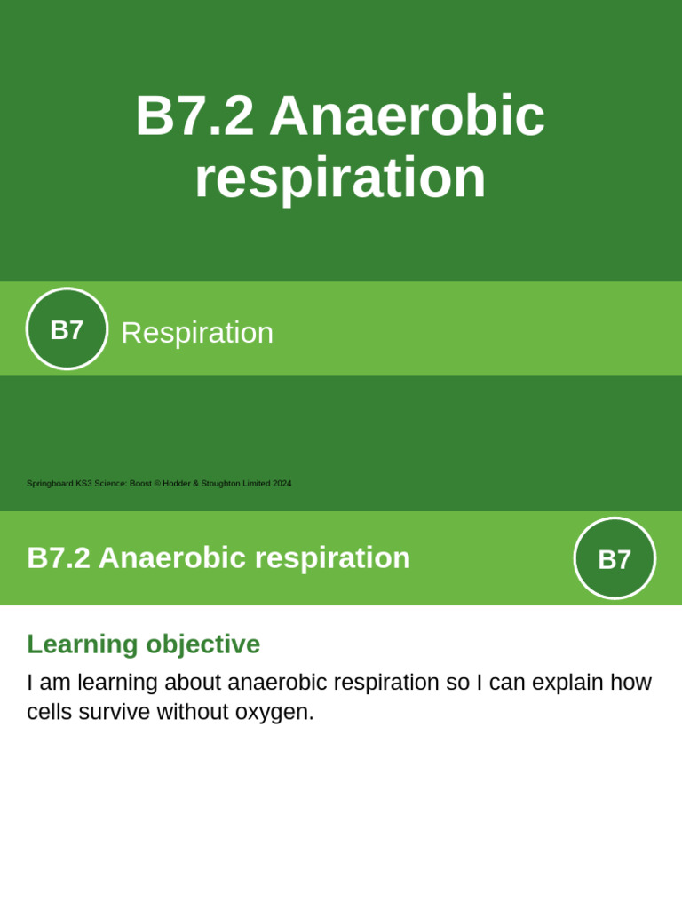Understanding Anaerobic Respiration KS3 | PDF | Respiratory System ...