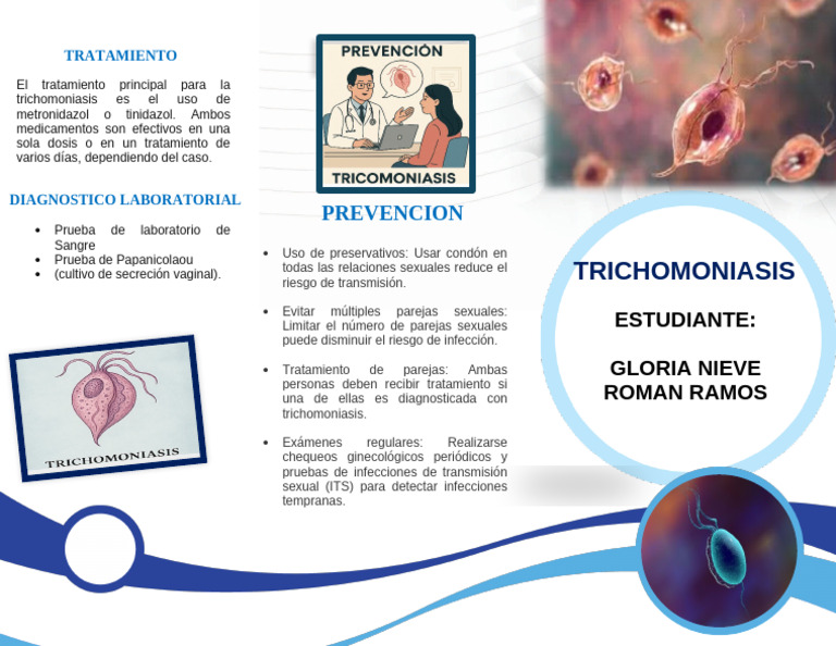 Parte 1 Triptico | PDF