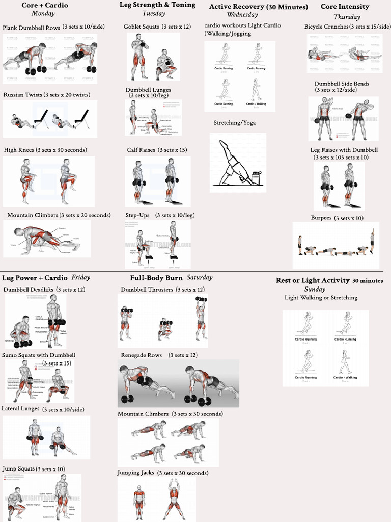 Weekly Full-Body Workout Plan | PDF