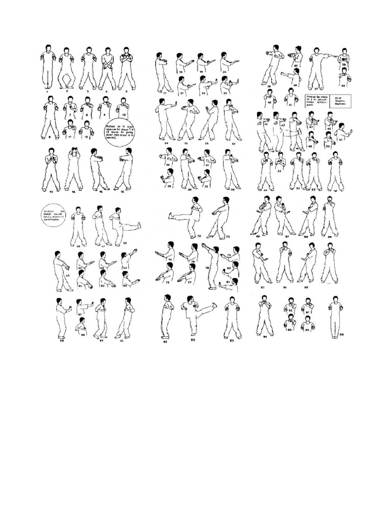 Chum Kiu Form | PDF