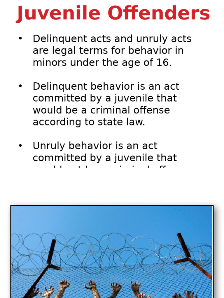 Juvenile OffendersStudentNotes | PDF | Juvenile Delinquency | Juvenile ...