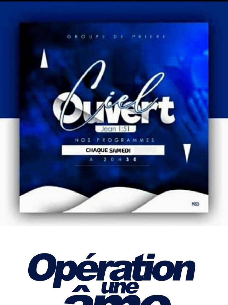 PDF_Phoenix_20250412_201612 | PDF